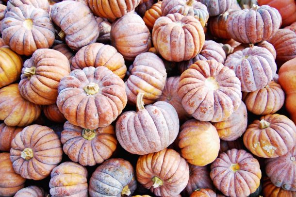 The Best Fall Festivals in Germany - Helene in Between