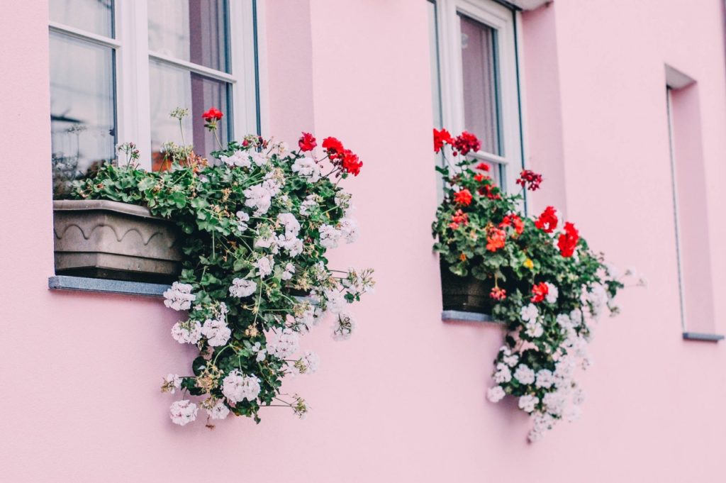 Heidelberg in The Spring - Helene in Between
