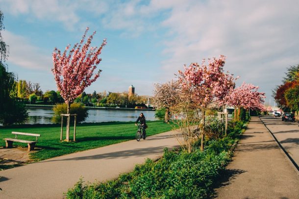Heidelberg in The Spring - Helene in Between