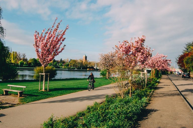 Heidelberg in The Spring - Helene in Between