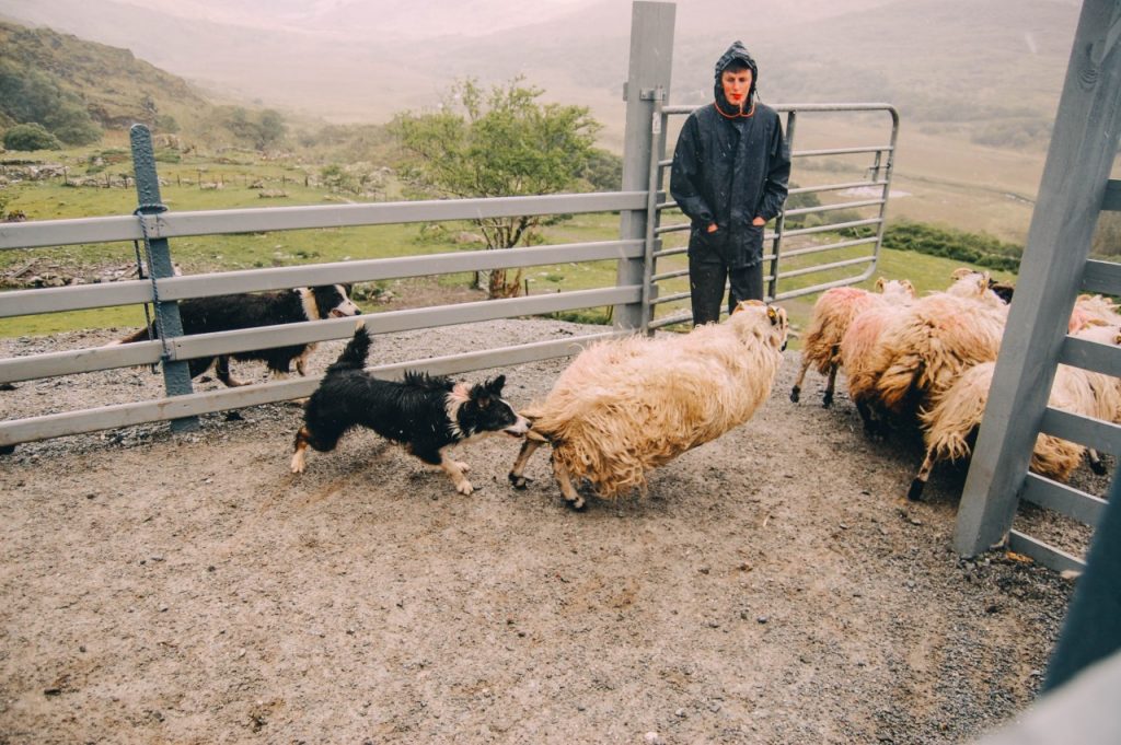 One Week Ireland Travel Guide - Helene in Between
