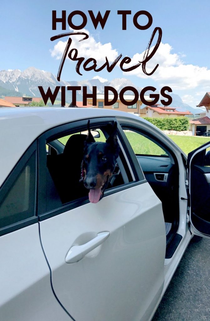 The Ultimate Guide to Traveling with Dogs - Helene in Between