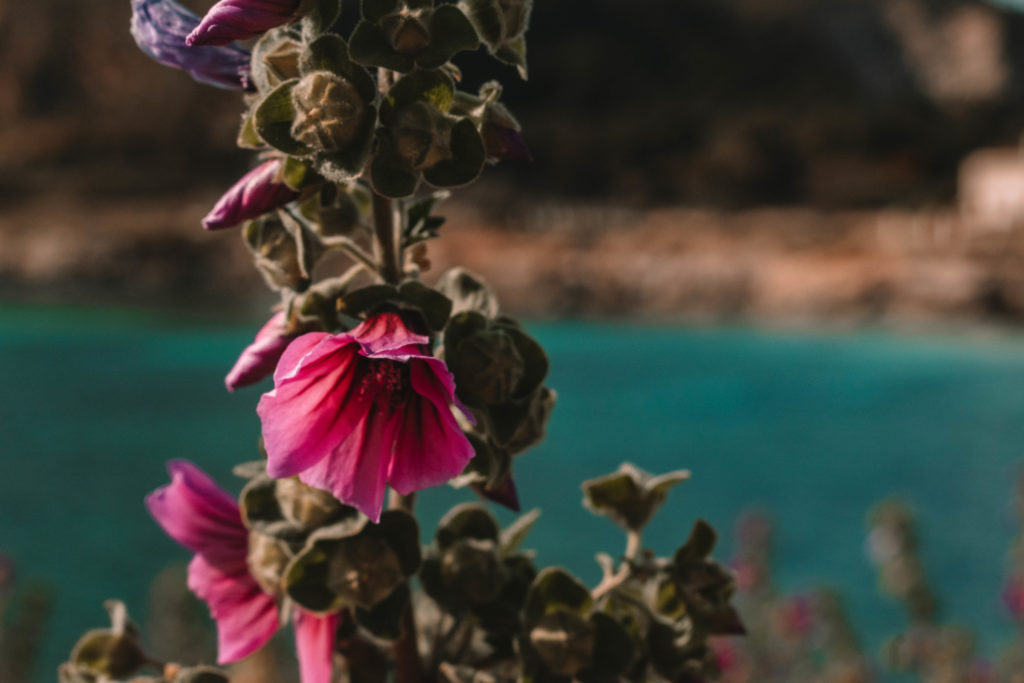 The Best Places for Spring in Europe - Helene in Between