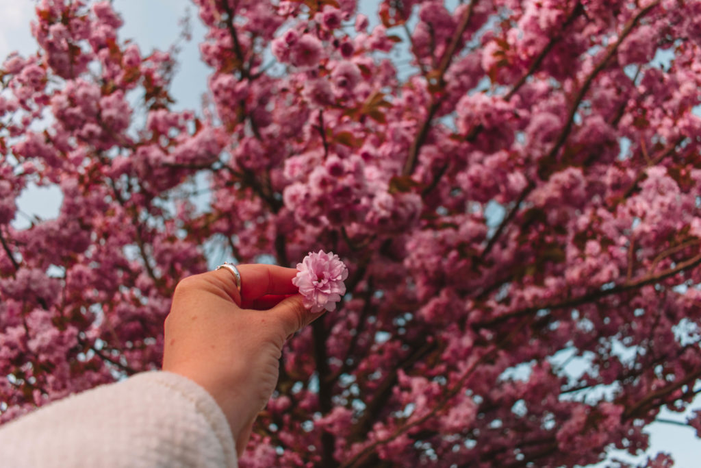 The Best Places for Spring in Europe - Helene in Between