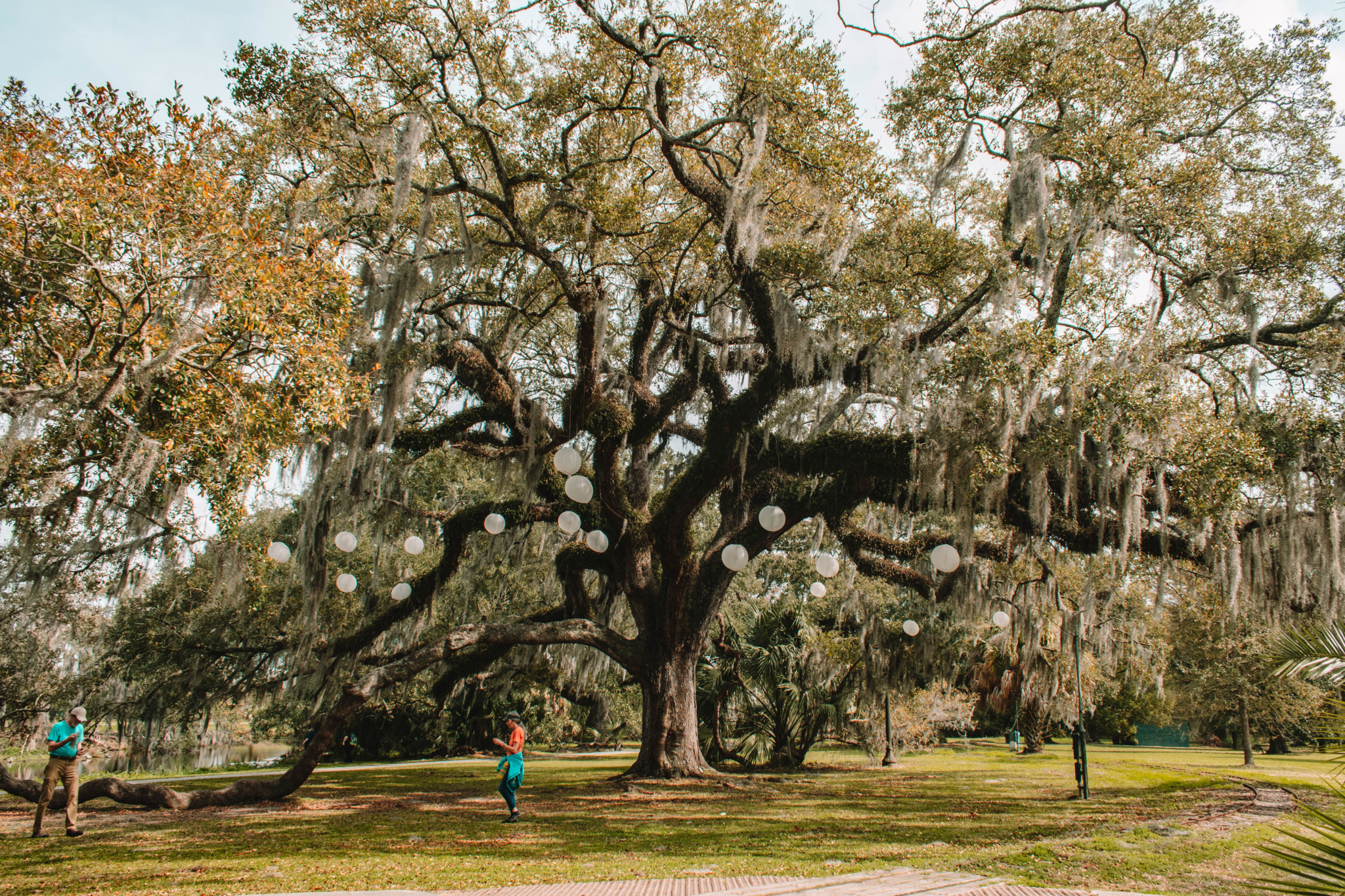 Epic New Orleans Itinerary - Travel Guide to NOLA - Helene in Between