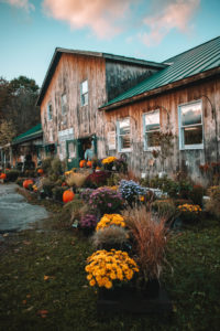 Fall in Vermont: Best Places for a Foliage Road Trip - Helene in Between