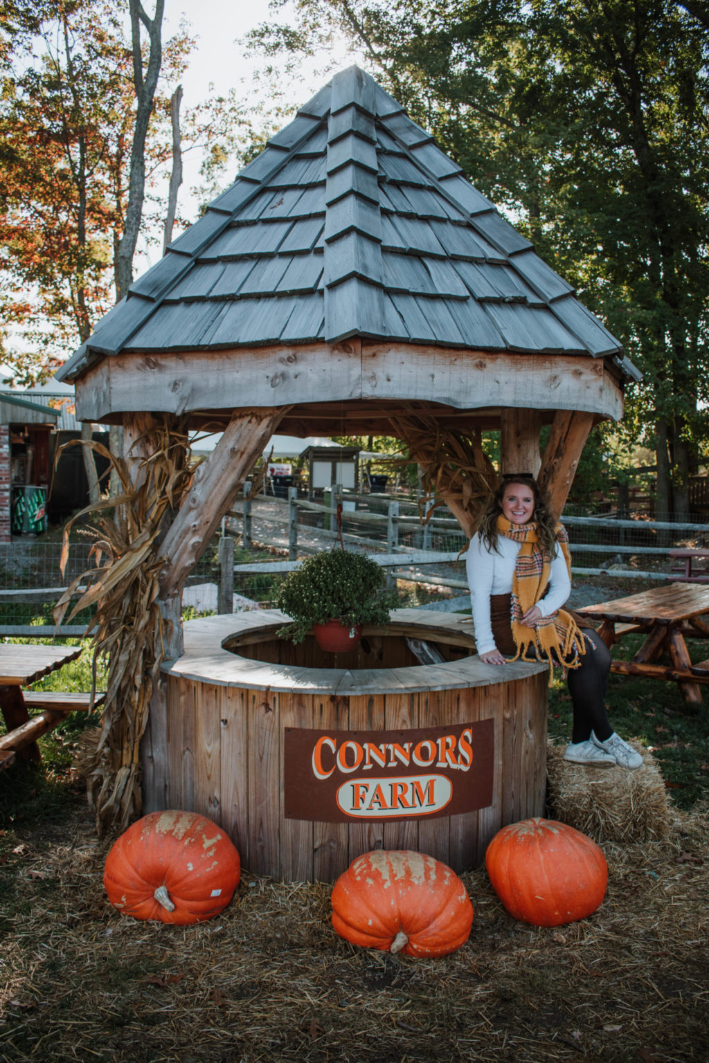 The Best Farms in New England for Fall - Helene in Between