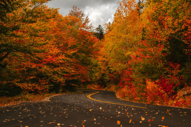 The Ultimate Guide to New England's Best Fall Foliage Spots: 20 Places ...