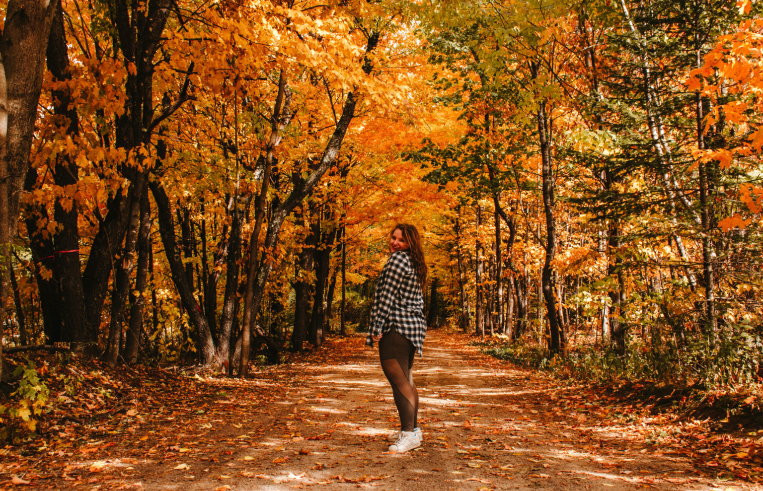 Best Places to See Fall Foliage in New England: Towns, Farms, Leaves ...