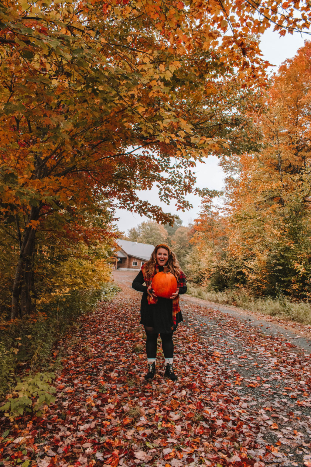 Best Places to See Fall Foliage in New England: Towns, Farms, Leaves ...