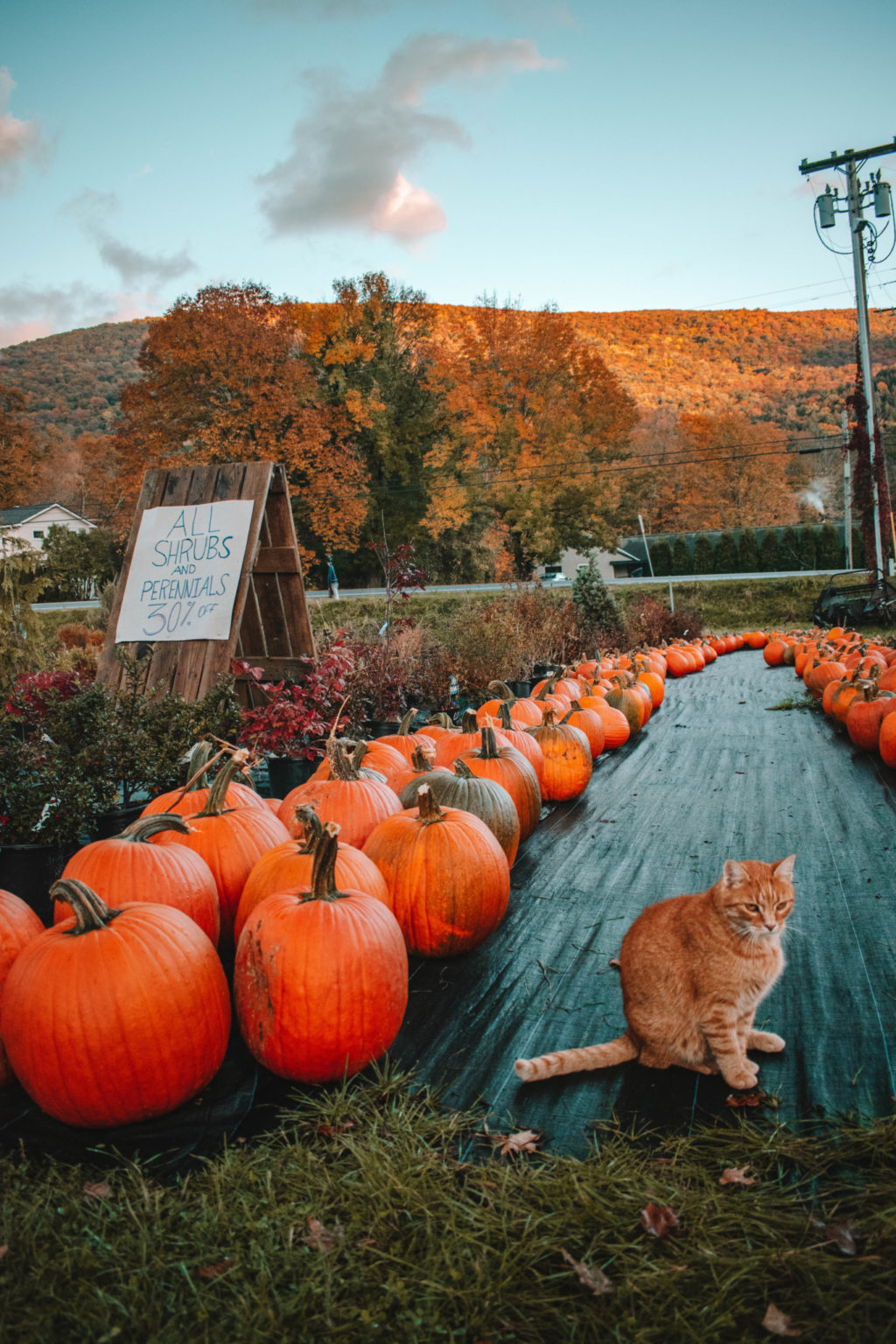 Ultimate One Week Fall Foliage Itinerary for New England - Helene in ...