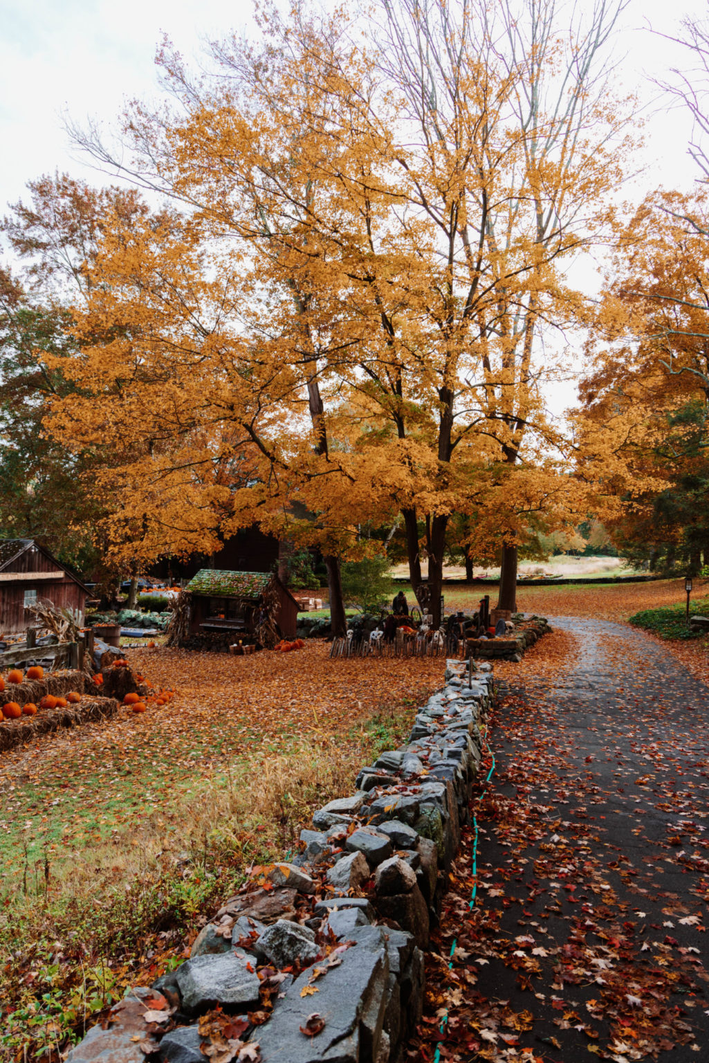 Connecticut Fall Foliage Guide: Best Places to Experience the Autumn ...
