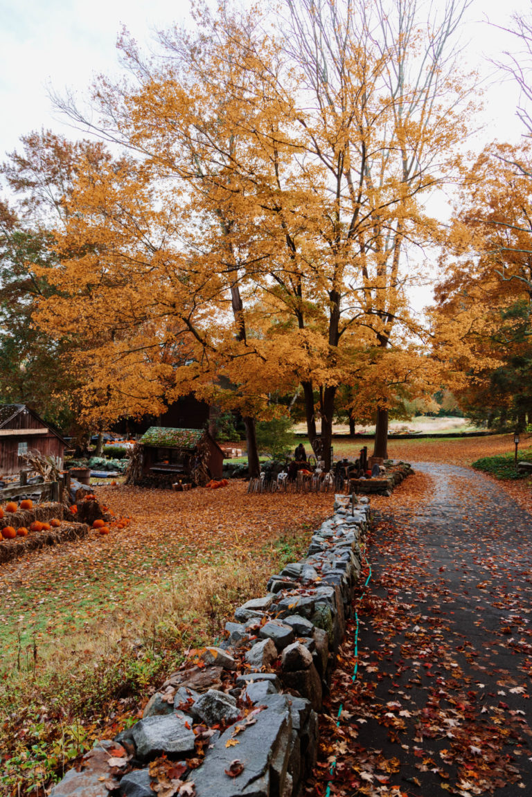 Connecticut Fall Foliage Guide: Best Places to Experience the Autumn ...