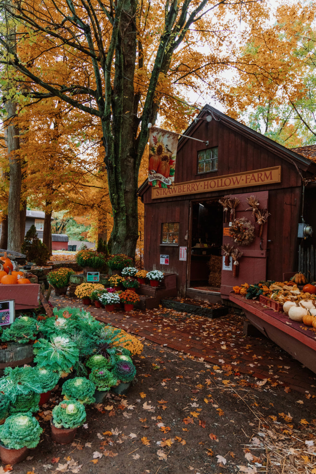 Connecticut Fall Foliage Guide: Best Places to Experience the Autumn ...