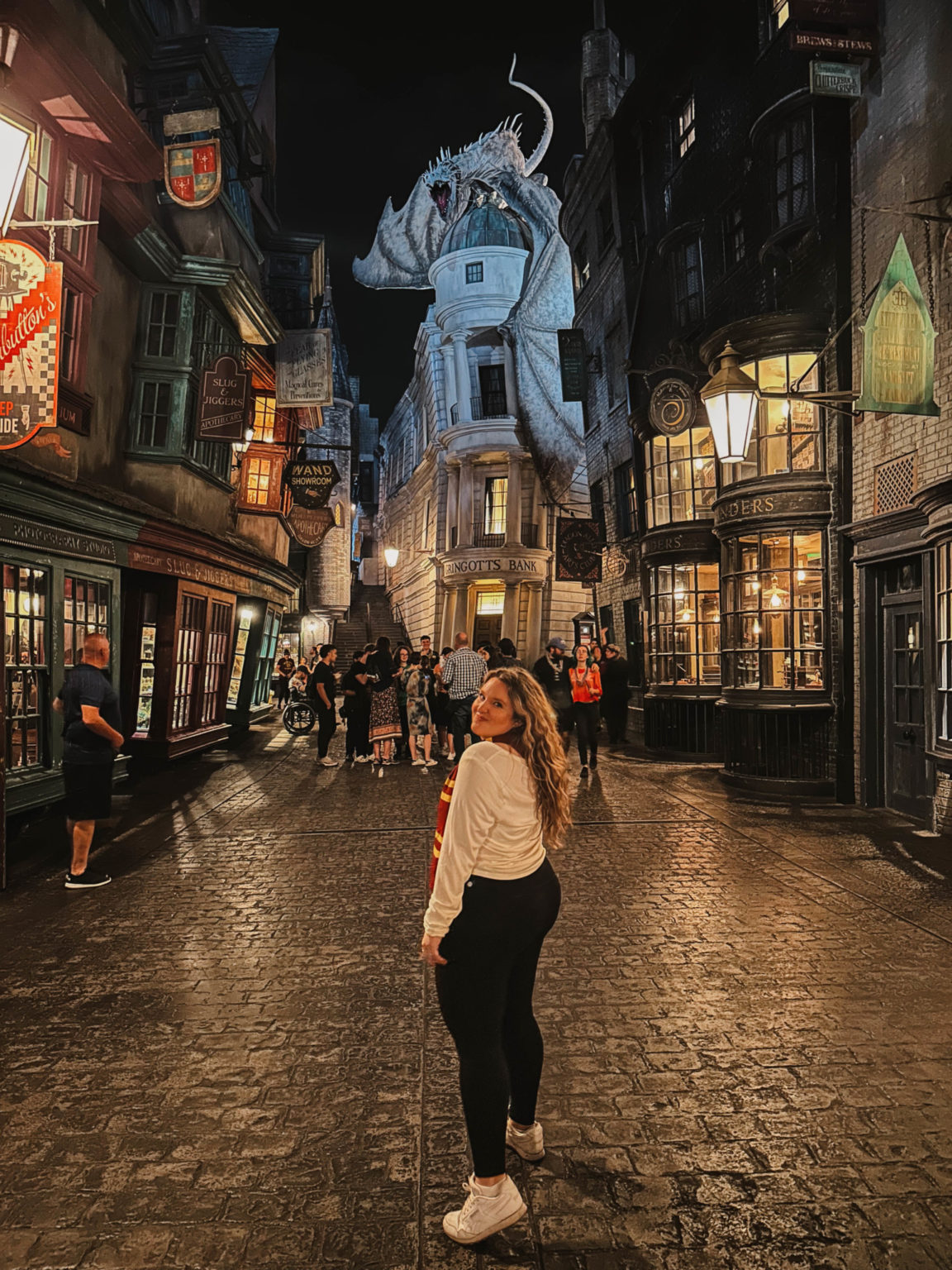 Guide and Itinerary for the Wizarding World of Harry Potter in Orlando ...