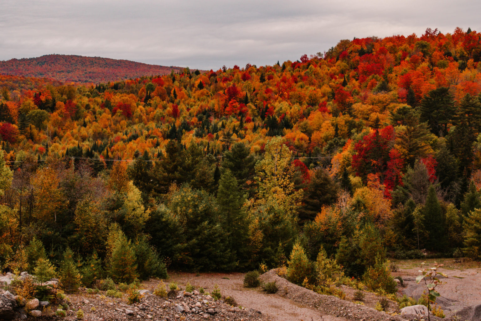 The Ultimate Guide to New England's Best Fall Foliage Spots: 20 Places ...