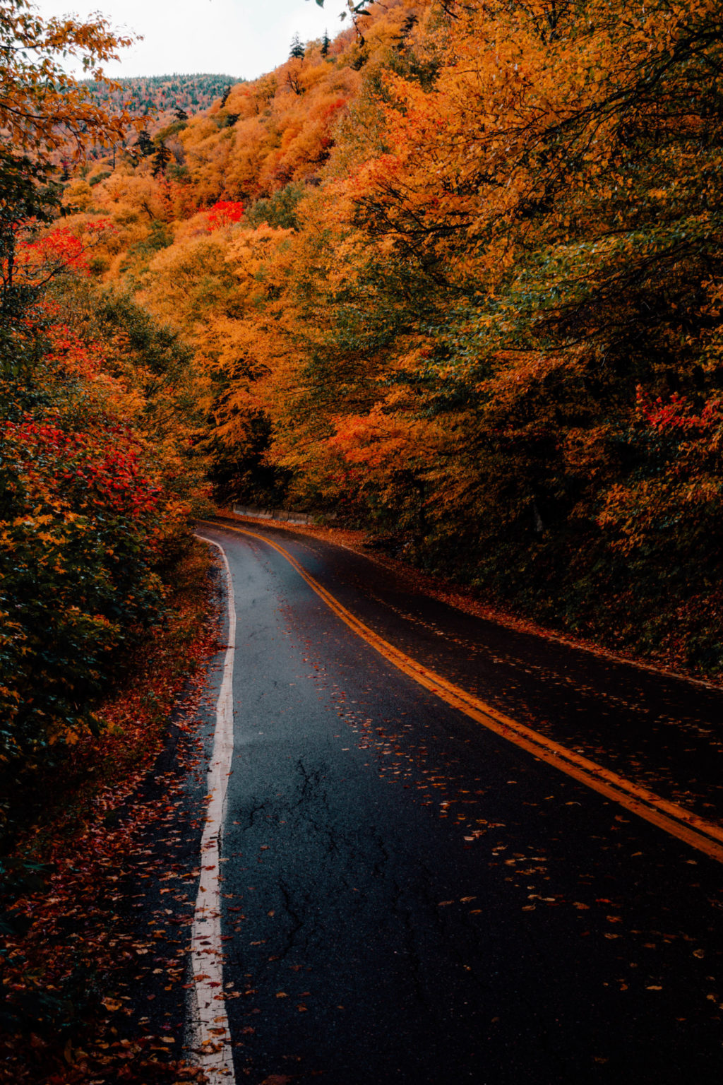 The Ultimate Guide to New England's Best Fall Foliage Spots: 20 Places ...