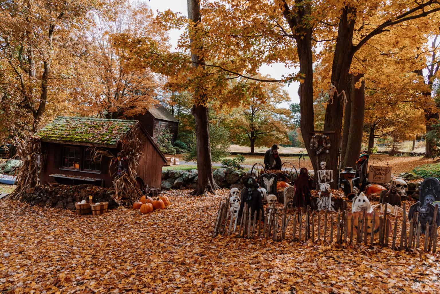Connecticut Fall Foliage Guide: Best Places to Experience the Autumn ...