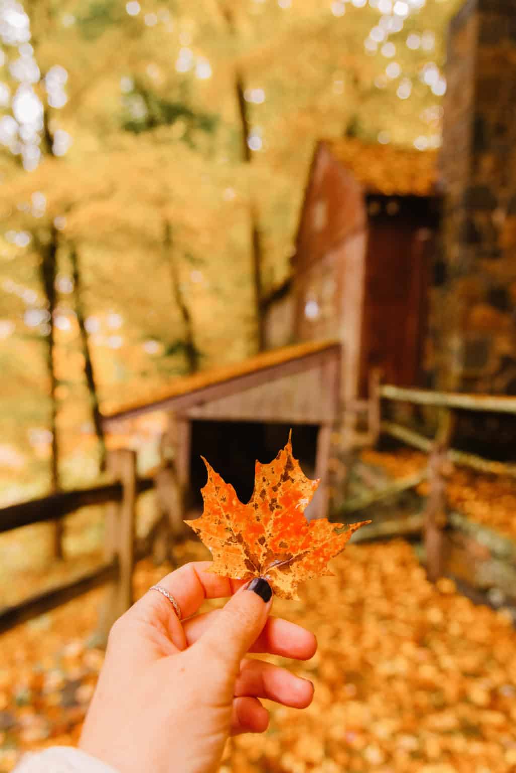 Connecticut Fall Foliage Guide: Best Places to Experience the Autumn ...