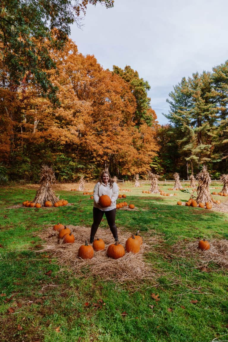 Connecticut Fall Foliage Guide: Best Places to Experience the Autumn ...