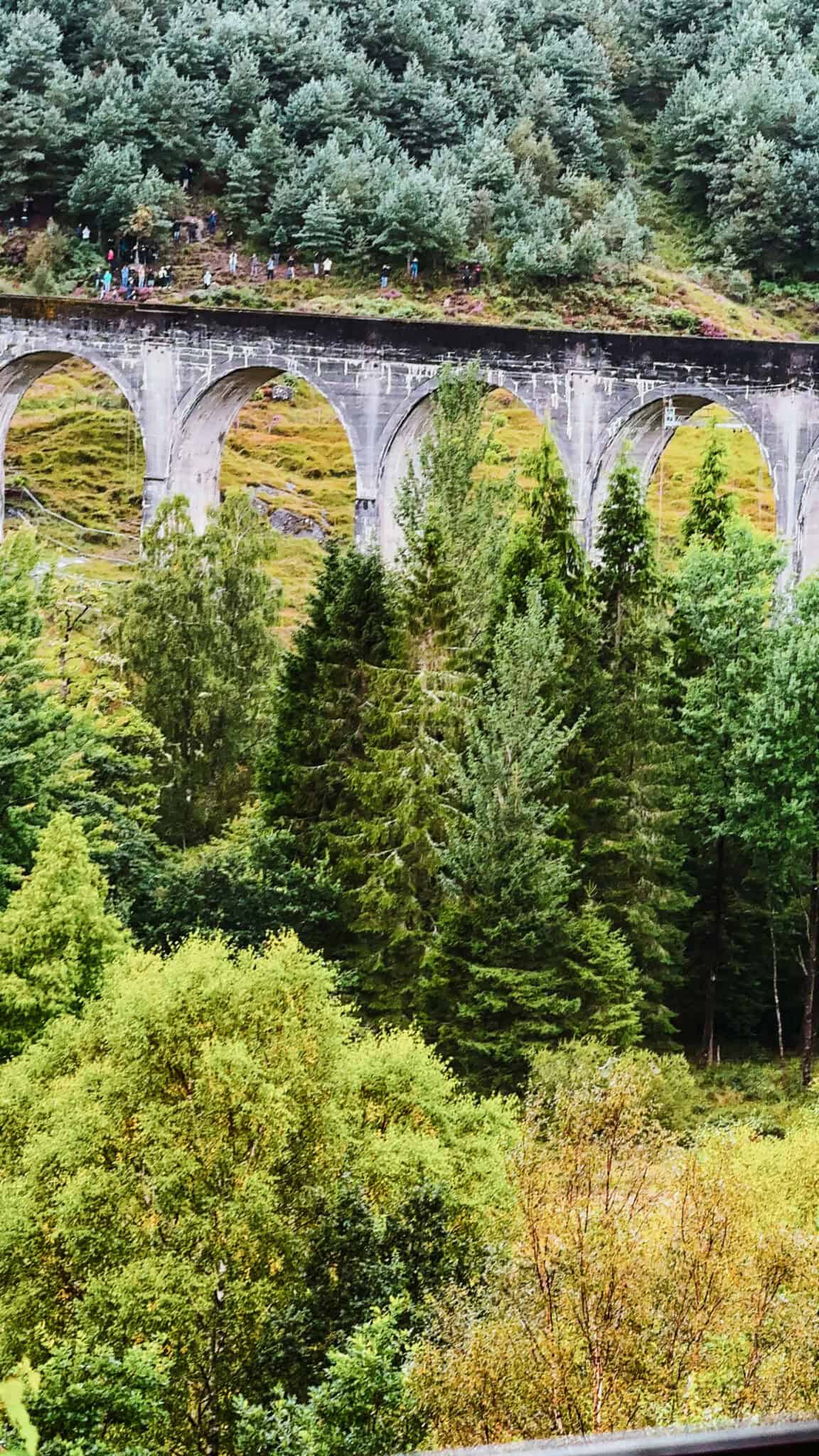 Your Guide to Riding the Hogwarts Express: The Jacobite Steam Train in ...