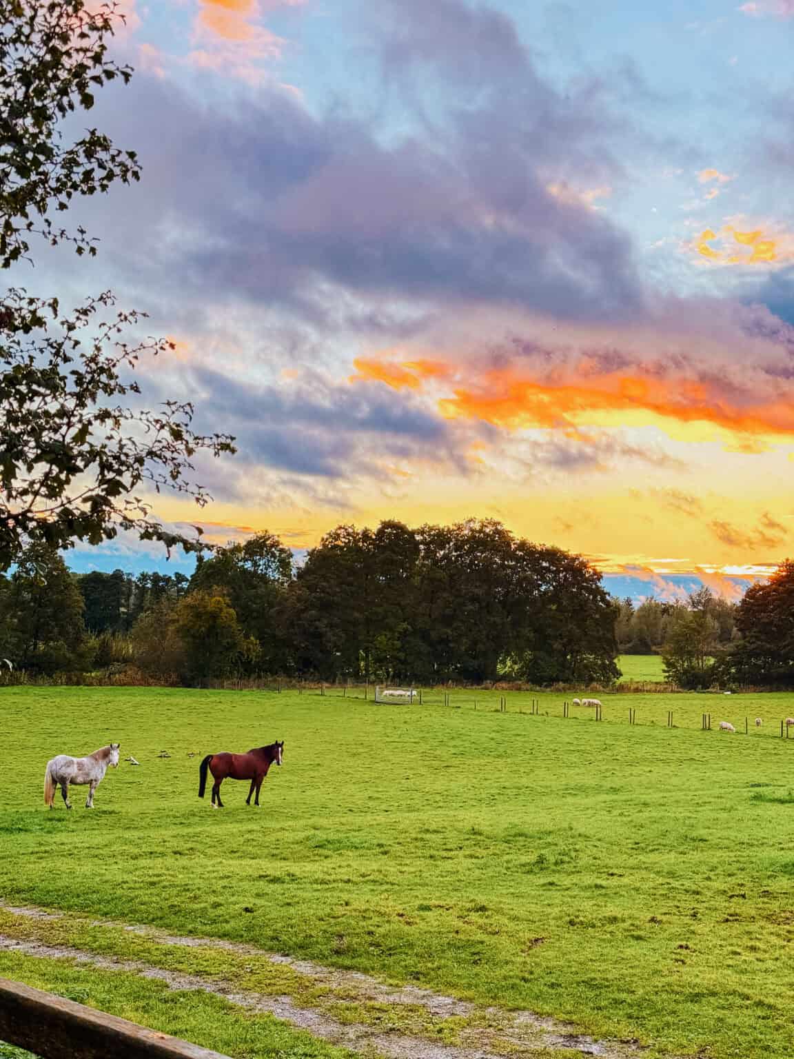 Walking the Cotswold Way Full Guide: Everything You Need to Know ...