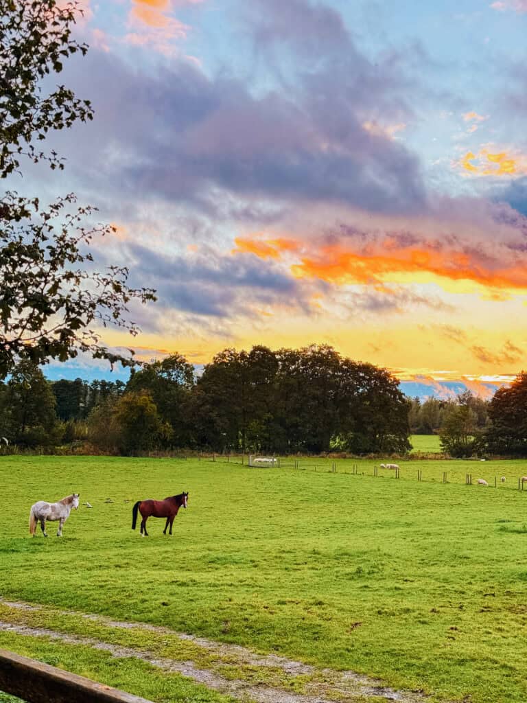 Walking the Cotswold Way Full Guide: Everything You Need to Know ...