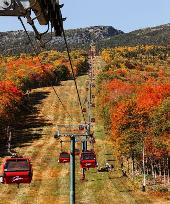 The Ultimate Guide to Cornwall, England - Helene in Between